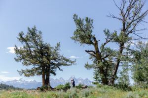 The Wedding Tree: Elopement & Intimate Wedding Venue in Jackson Hole ...